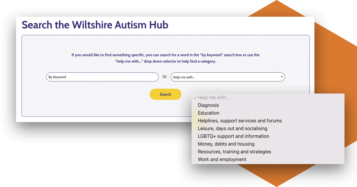 Creating an accessible Autism Hub for Wiltshire Service Users' (WSUN ...
